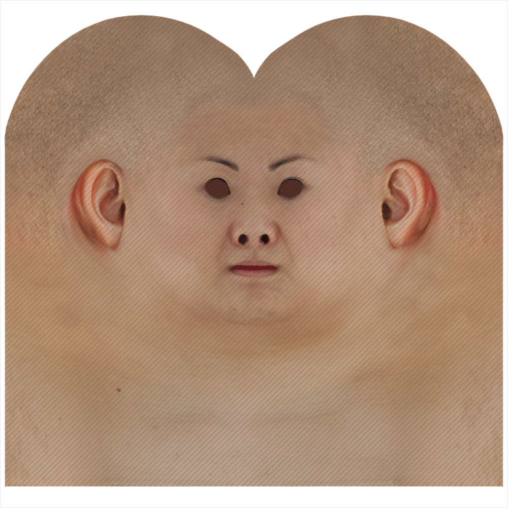 Female head texture map 23