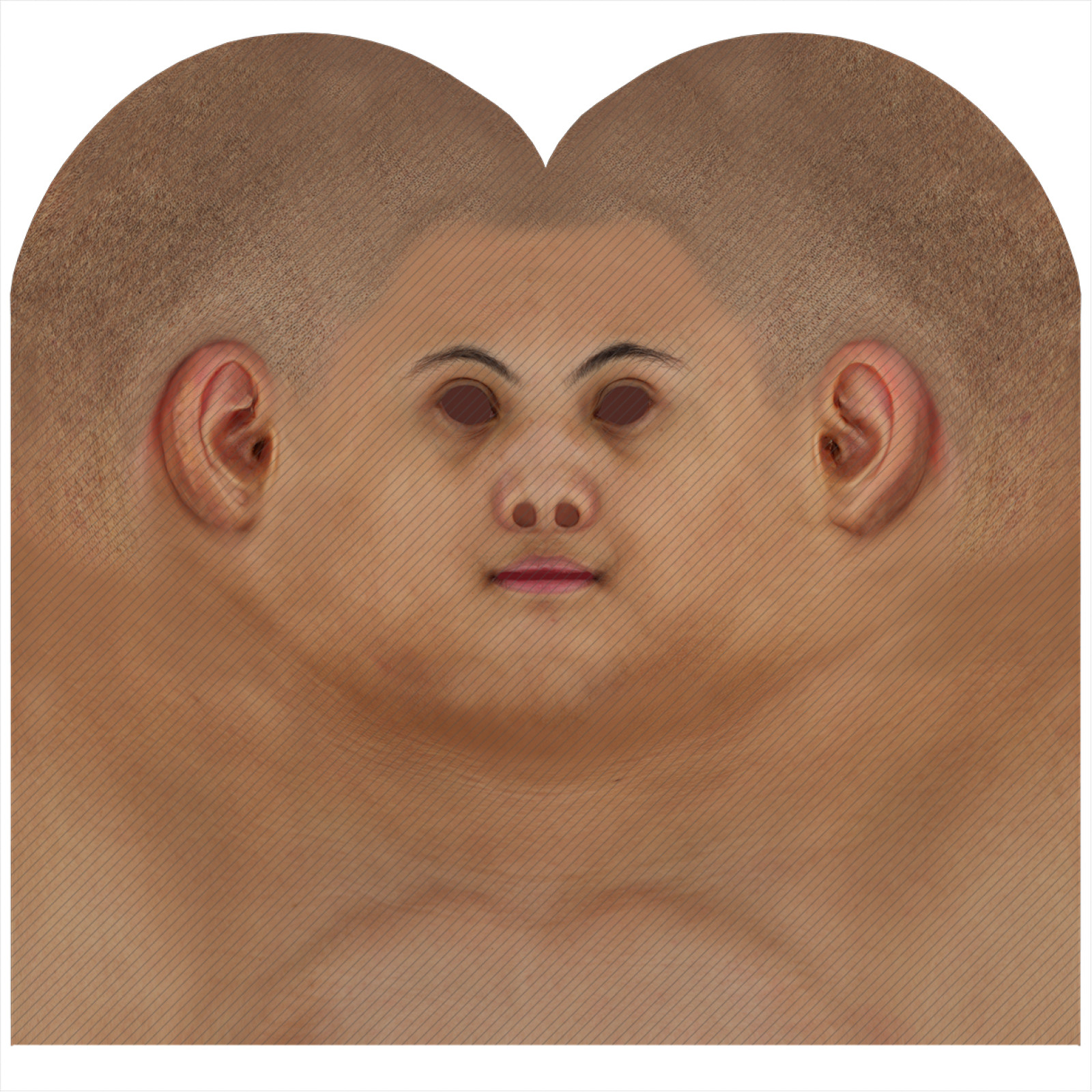 Female head texture map 24