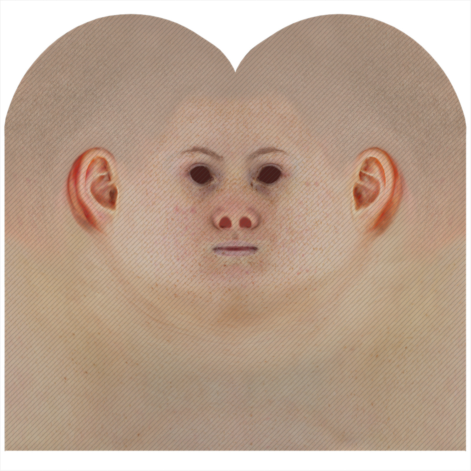 Female head texture map 26