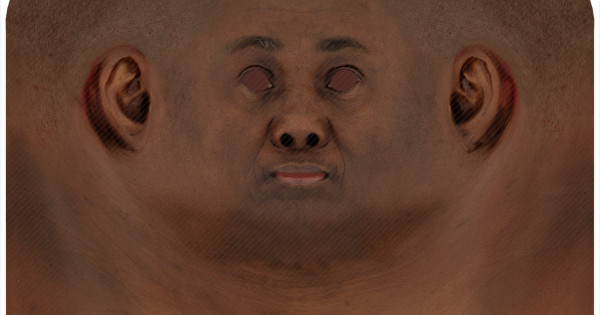 Female head texture map 27