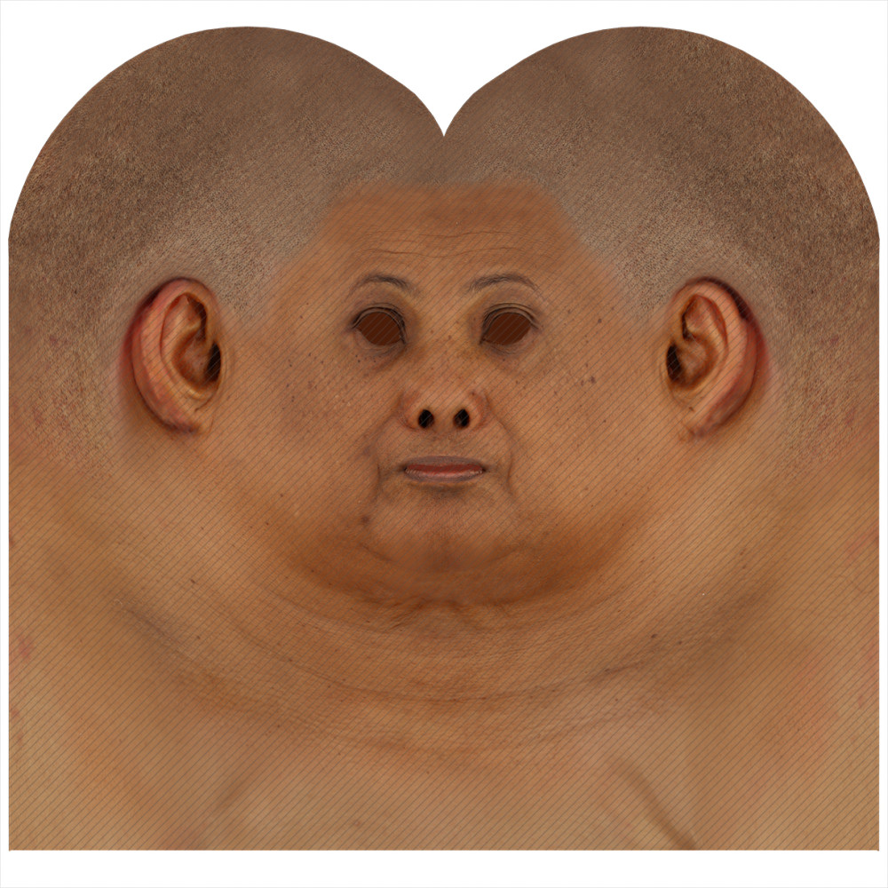 Female head texture map 37