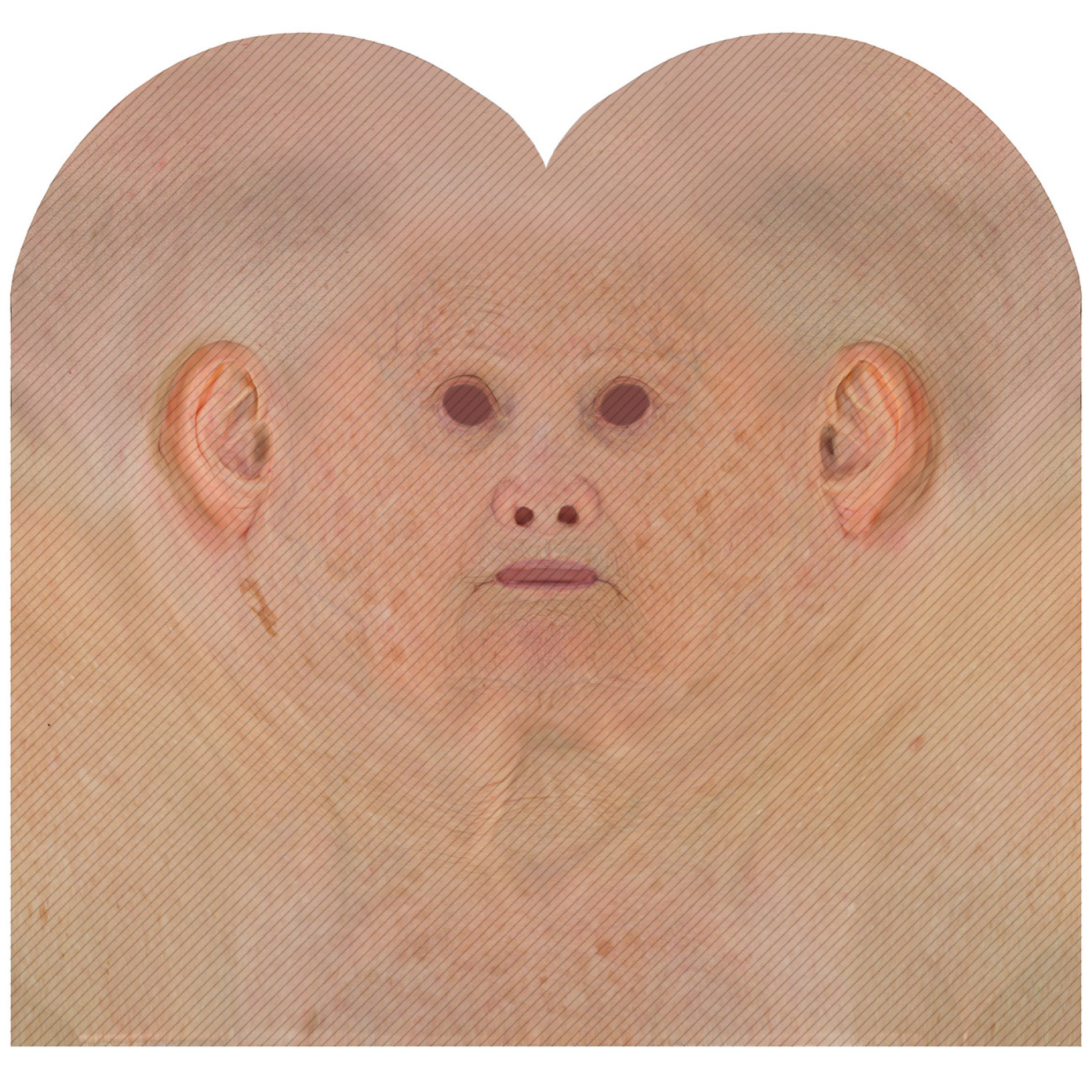 Female 063 / Albedo Map