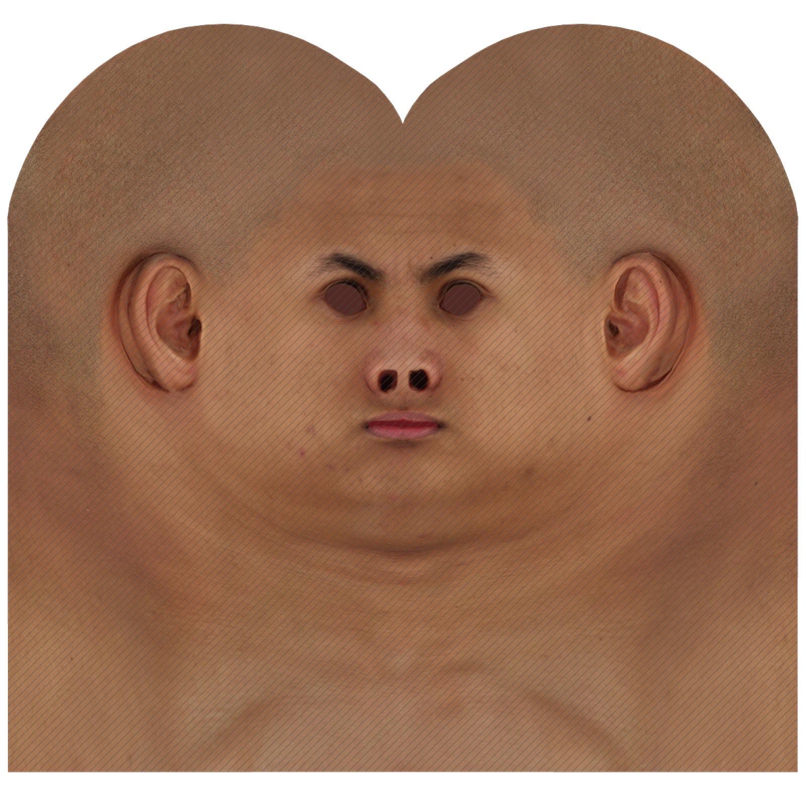 Male head texture map 01