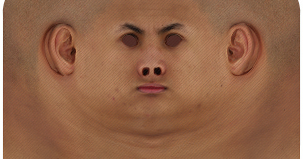 Male head texture map 01