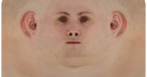 Male head texture map 11