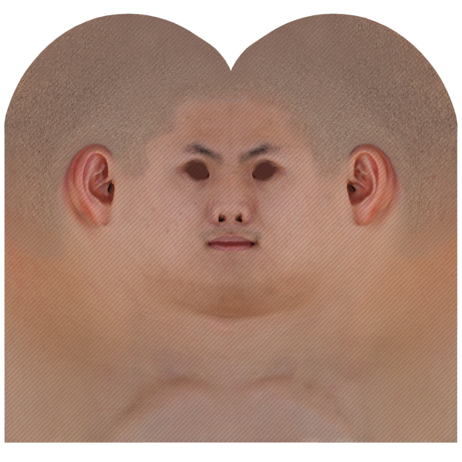 Male head texture map 19