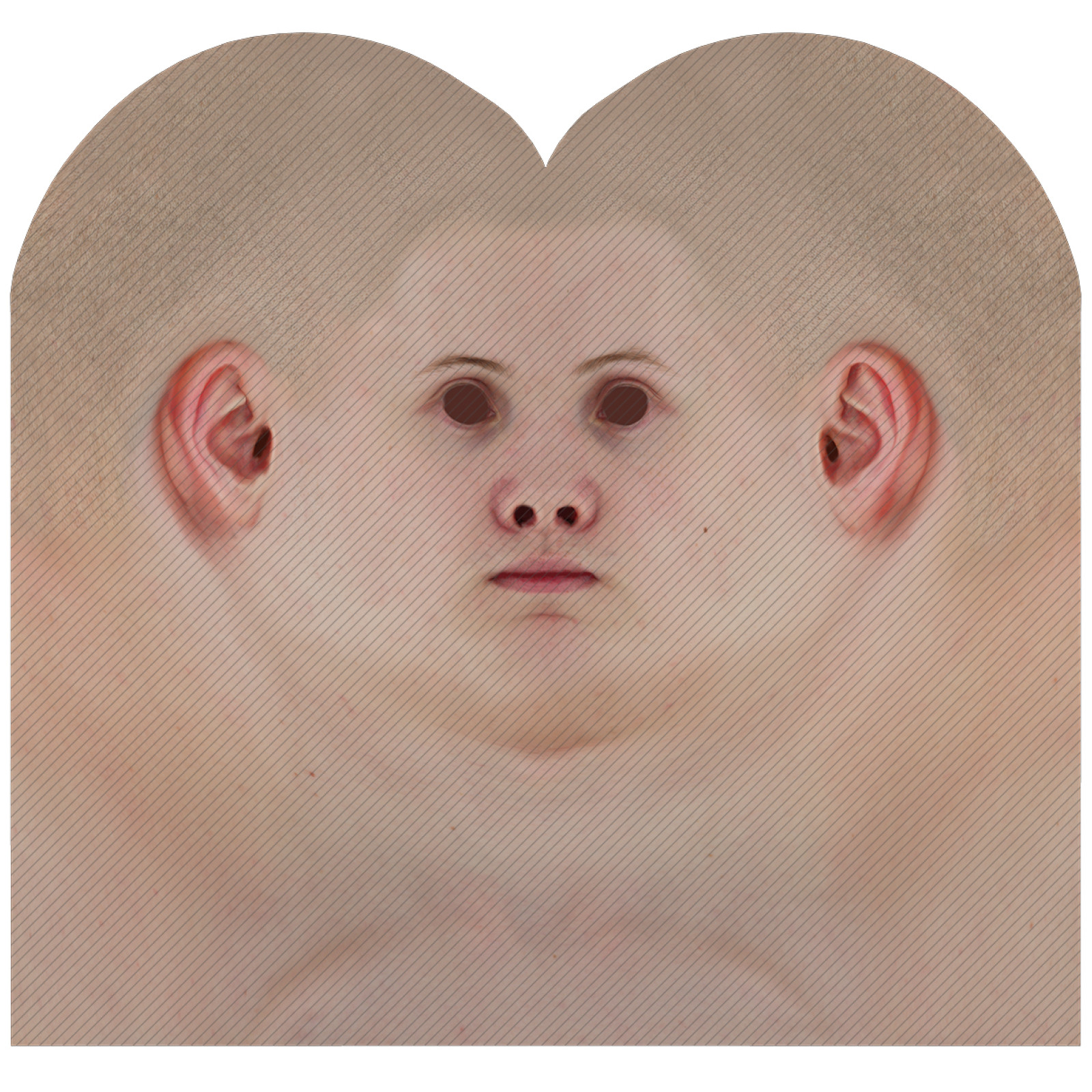 Male head texture map 23