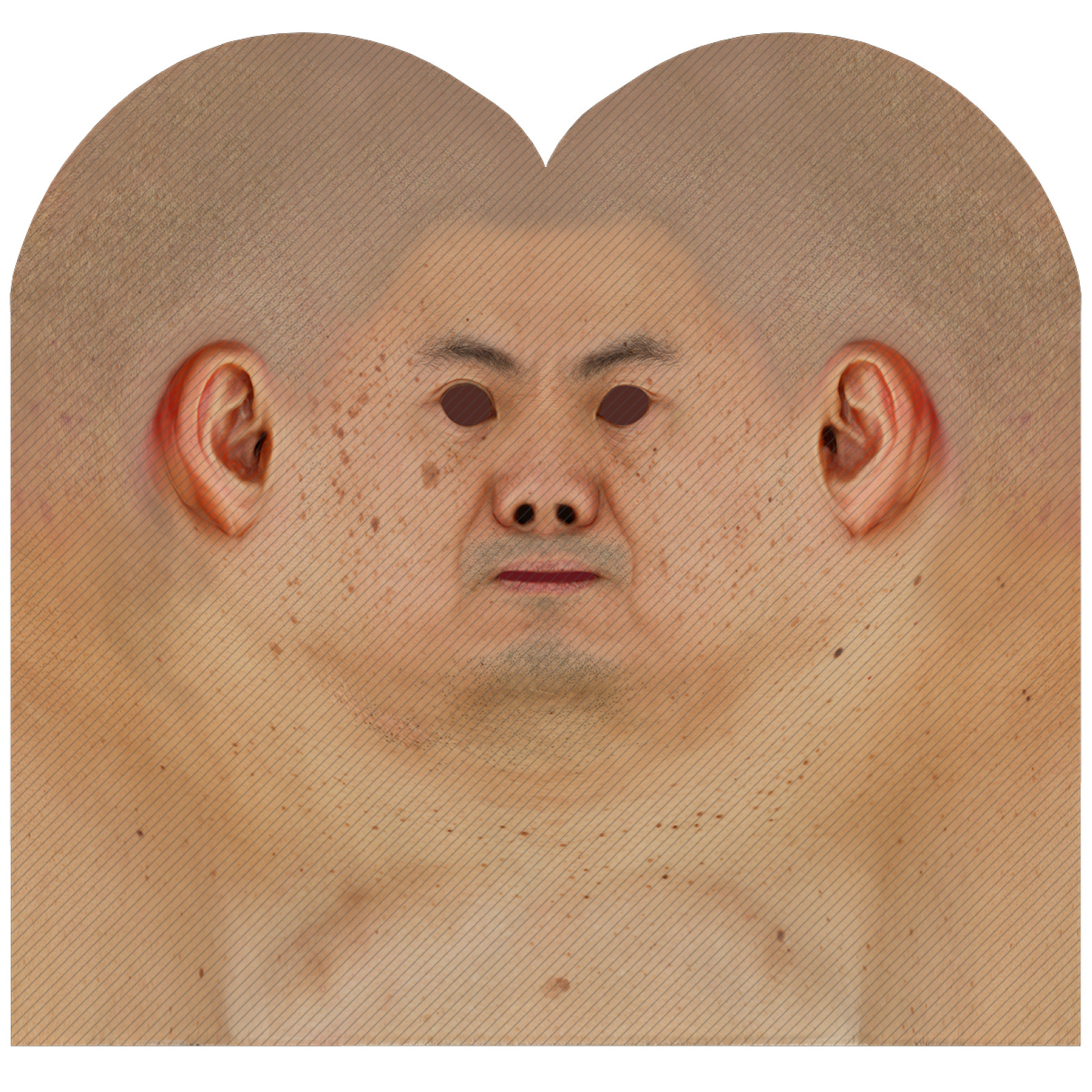 Male head texture map 29