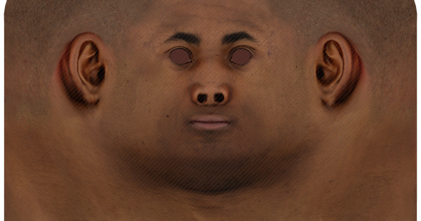 Male head texture map 31