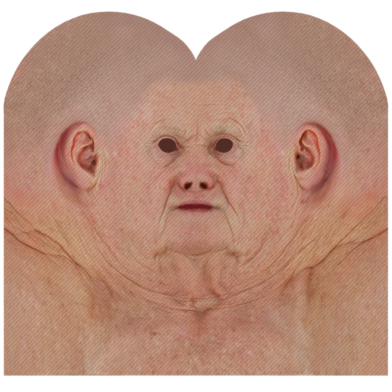 Male head texture map 35