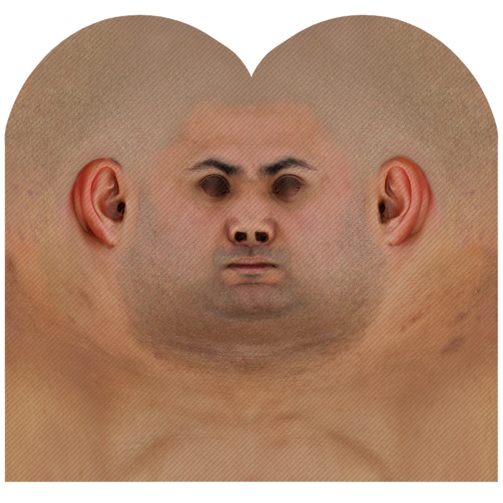 Male head texture map 37