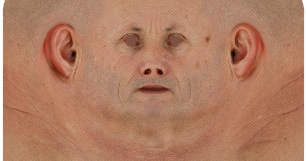 Male head texture map 38