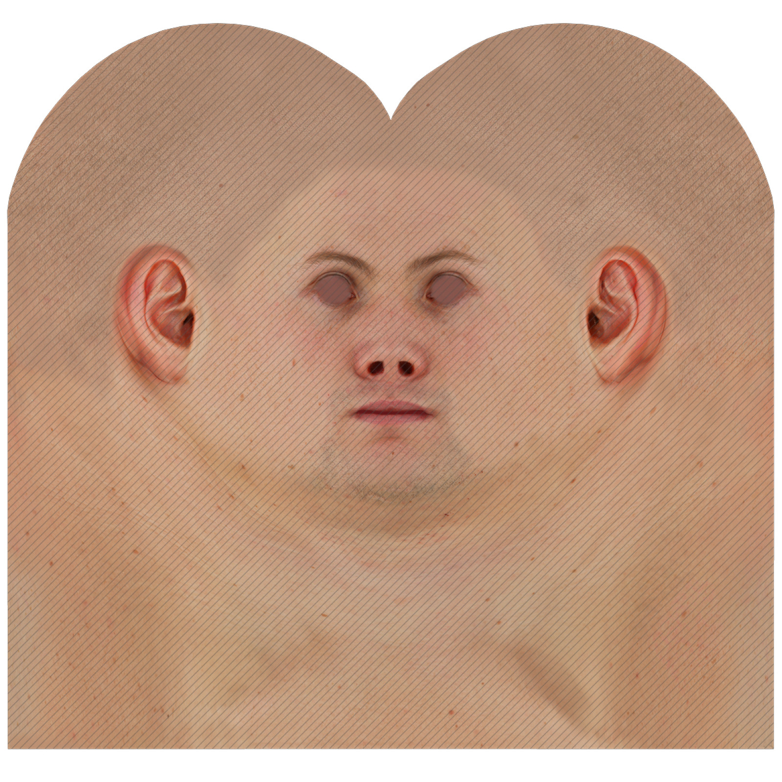 Male head texture map 39