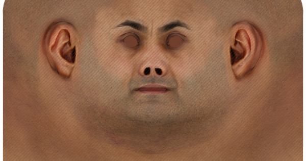 Male head texture map 41