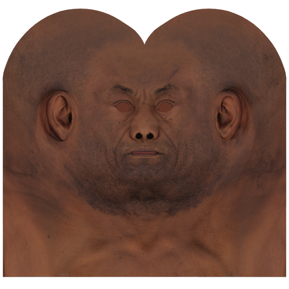 Male head texture map 46
