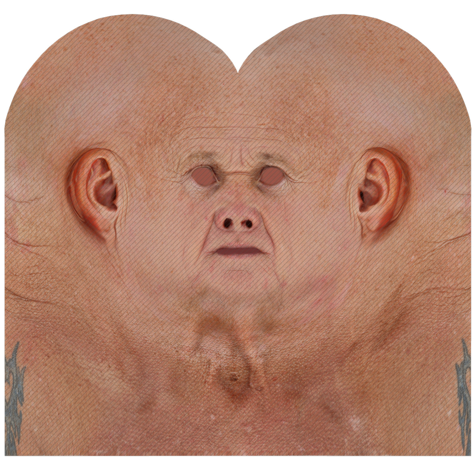 Male head texture map 49