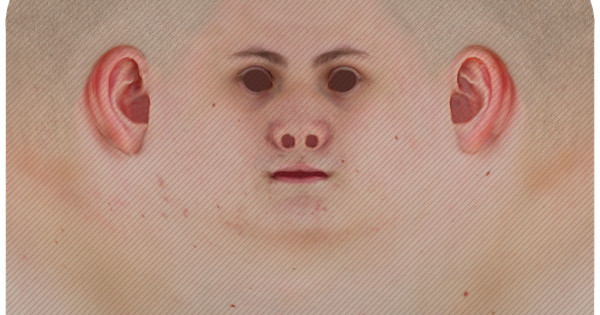 Male head texture map 05