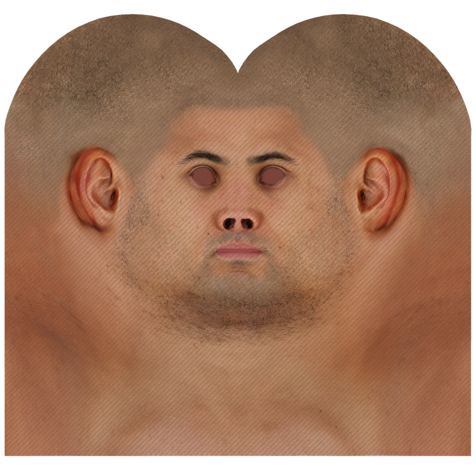 Male head texture map 50