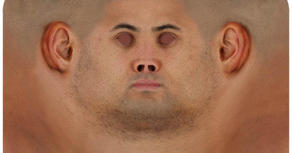 Male head texture map 50