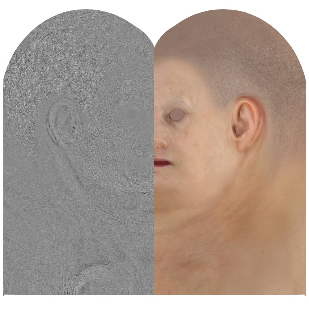 Female 10 / HD Displacement Map