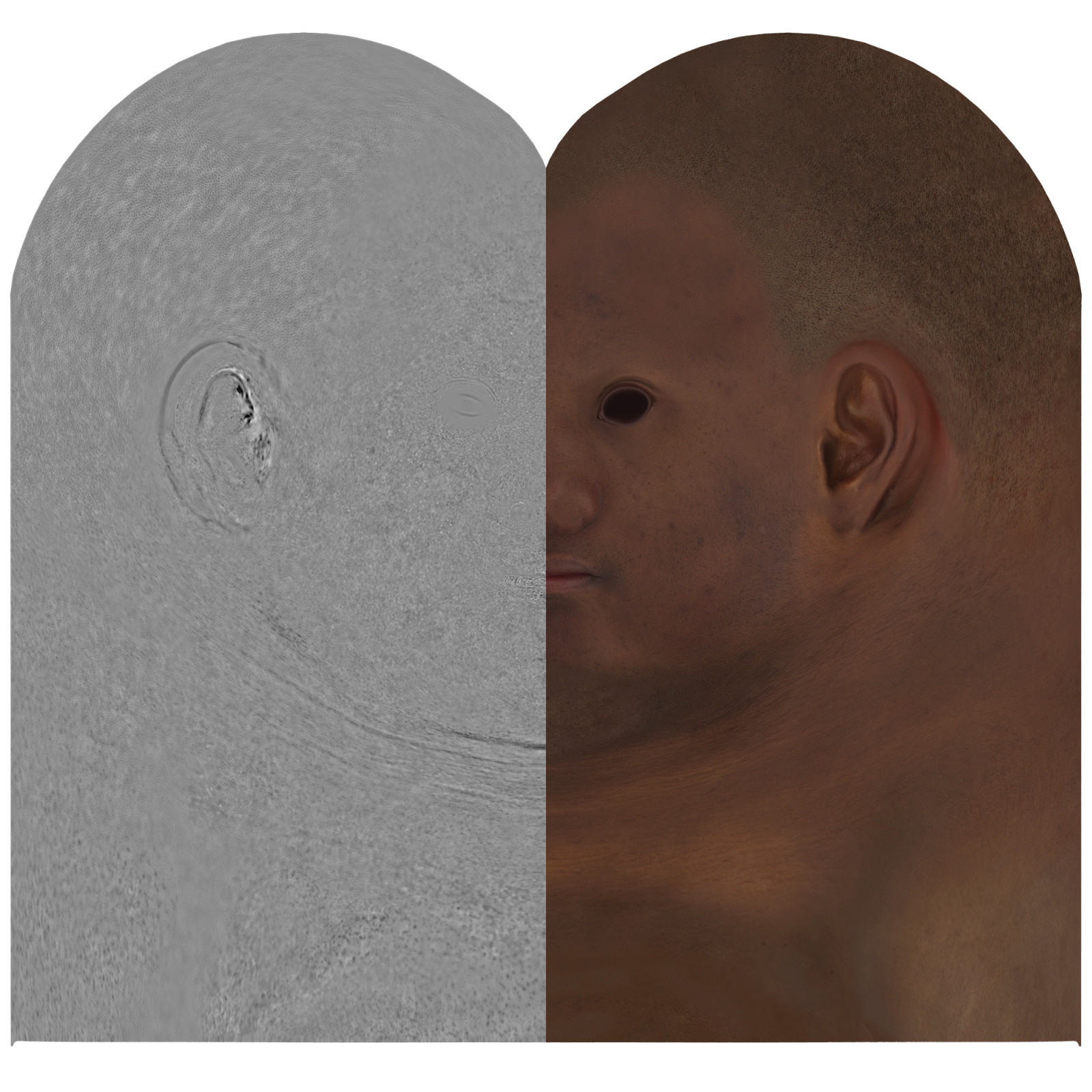 Male head texture map 02
