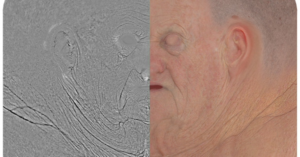 Male head texture map 05
