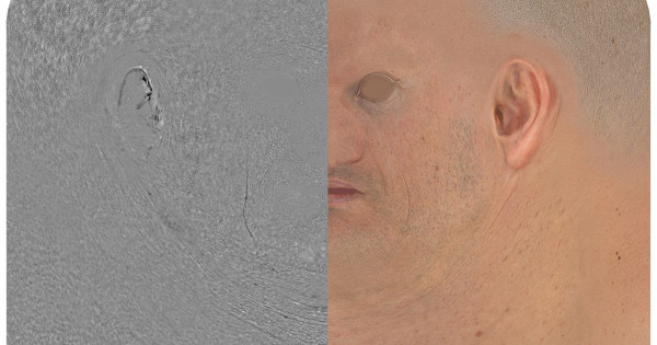 Male head texture map 06