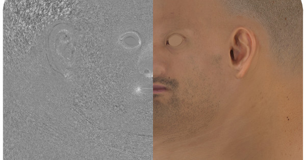 Male head texture map 07