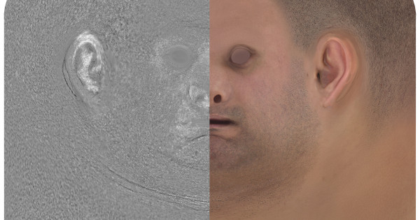 Male head texture map 08