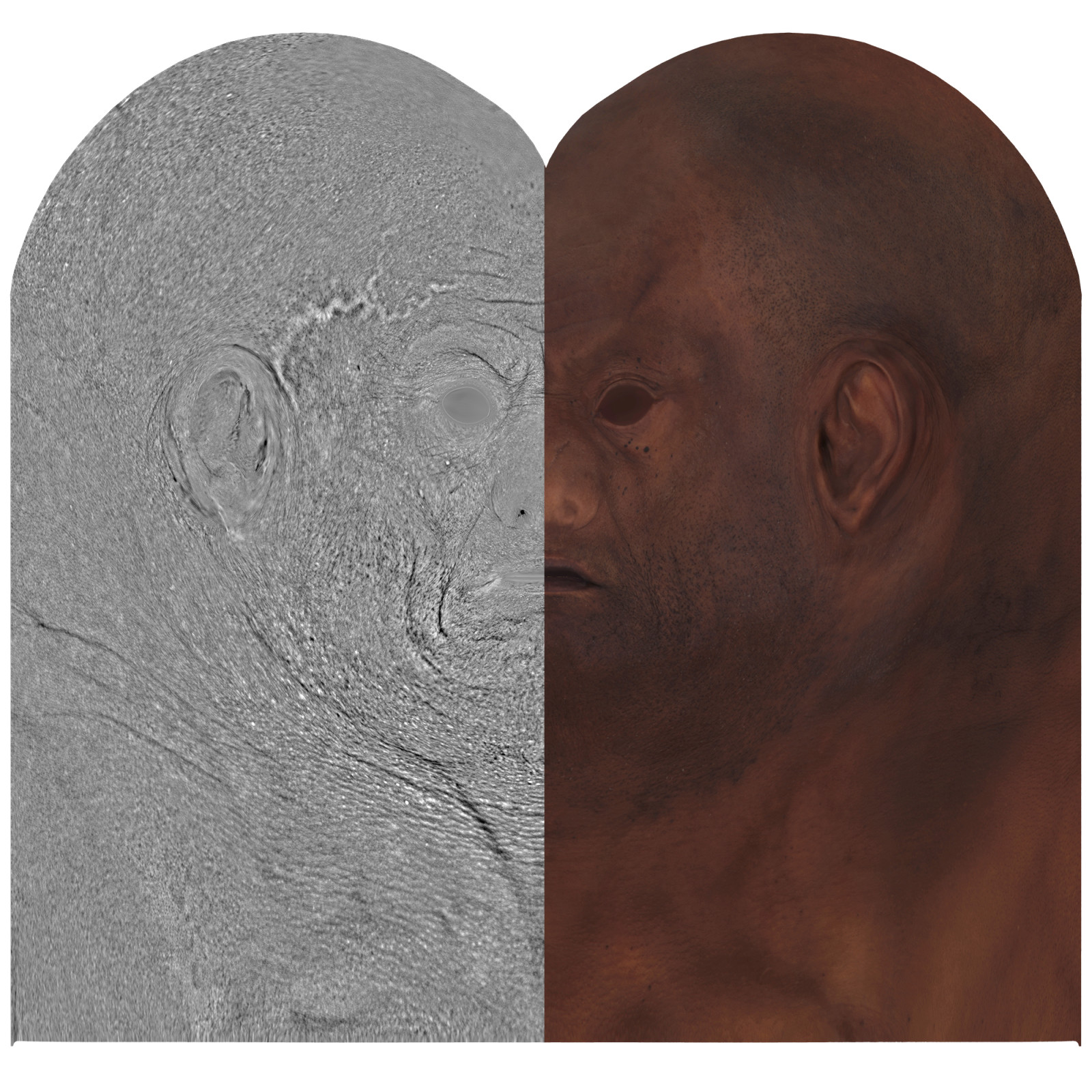 Male head texture map 09
