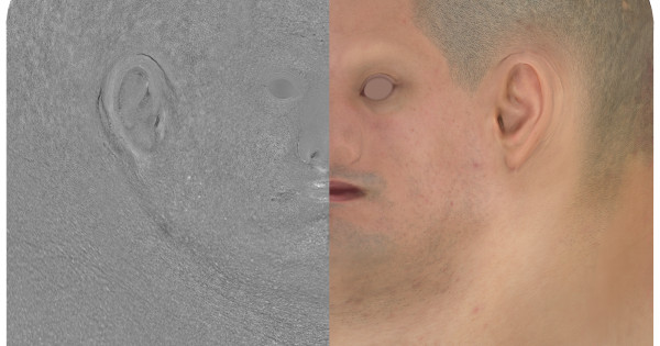 Male head texture map 11