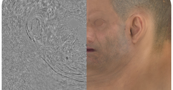 Male head texture map 12
