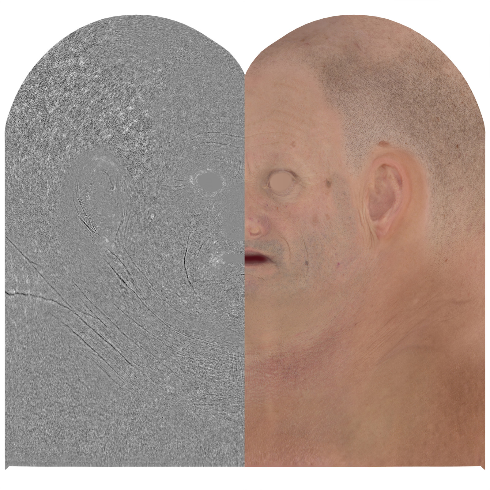 Male head texture map 13