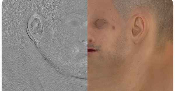 Male head texture map 14