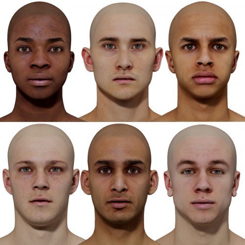 Morphable Male Base Mesh