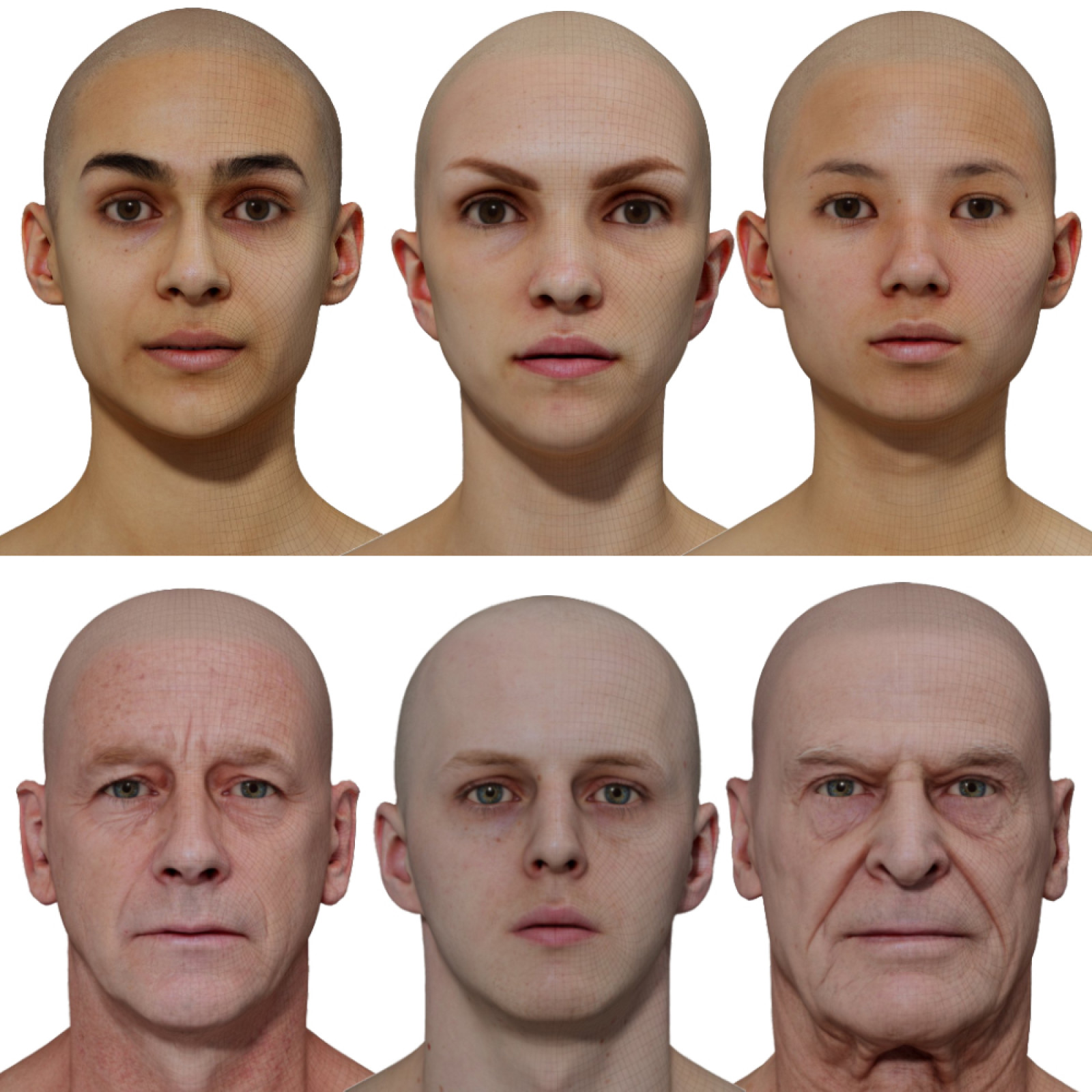 Male And Female 3D Head Model Bundle | by 3dscanstore.com