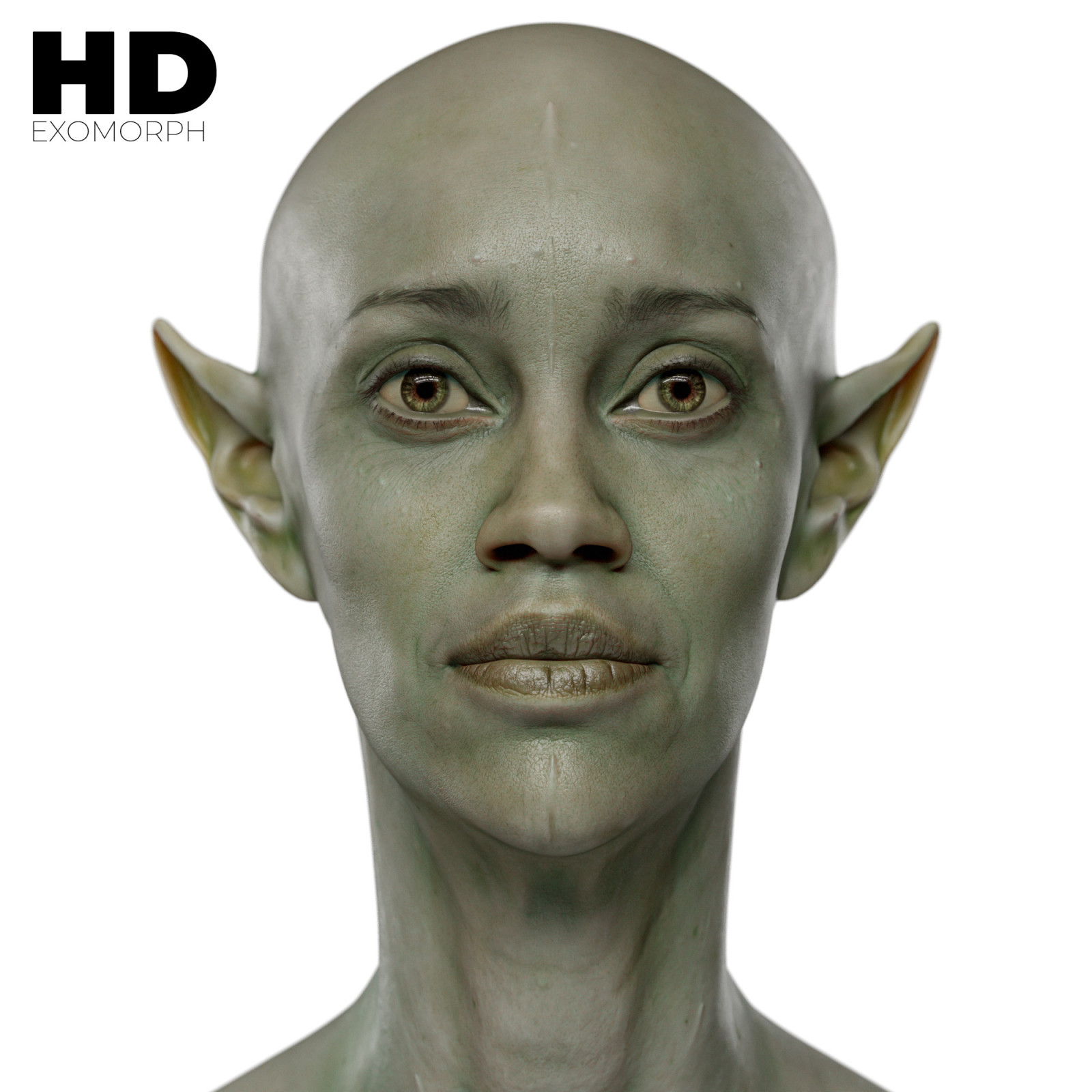 Download our exomoprh 3d head models