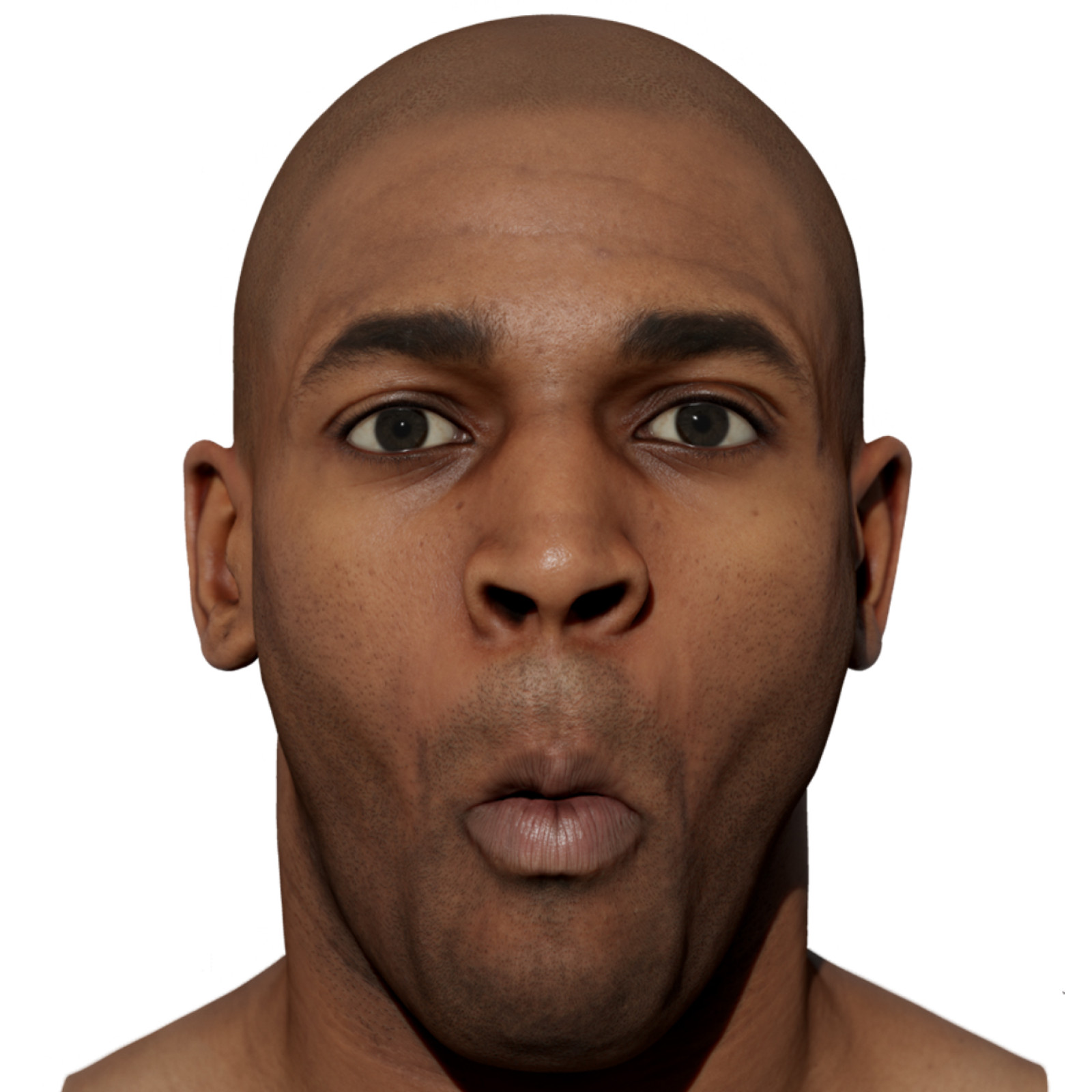 FACS Scan / Long Face / Reopolosiged Male 01