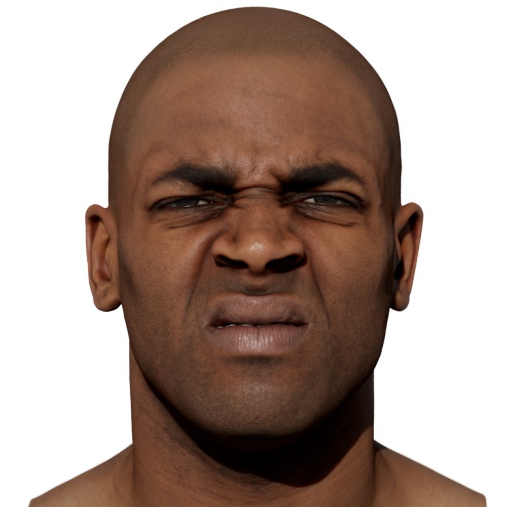 FACS Scan / Snarl / Retopologised Male 01