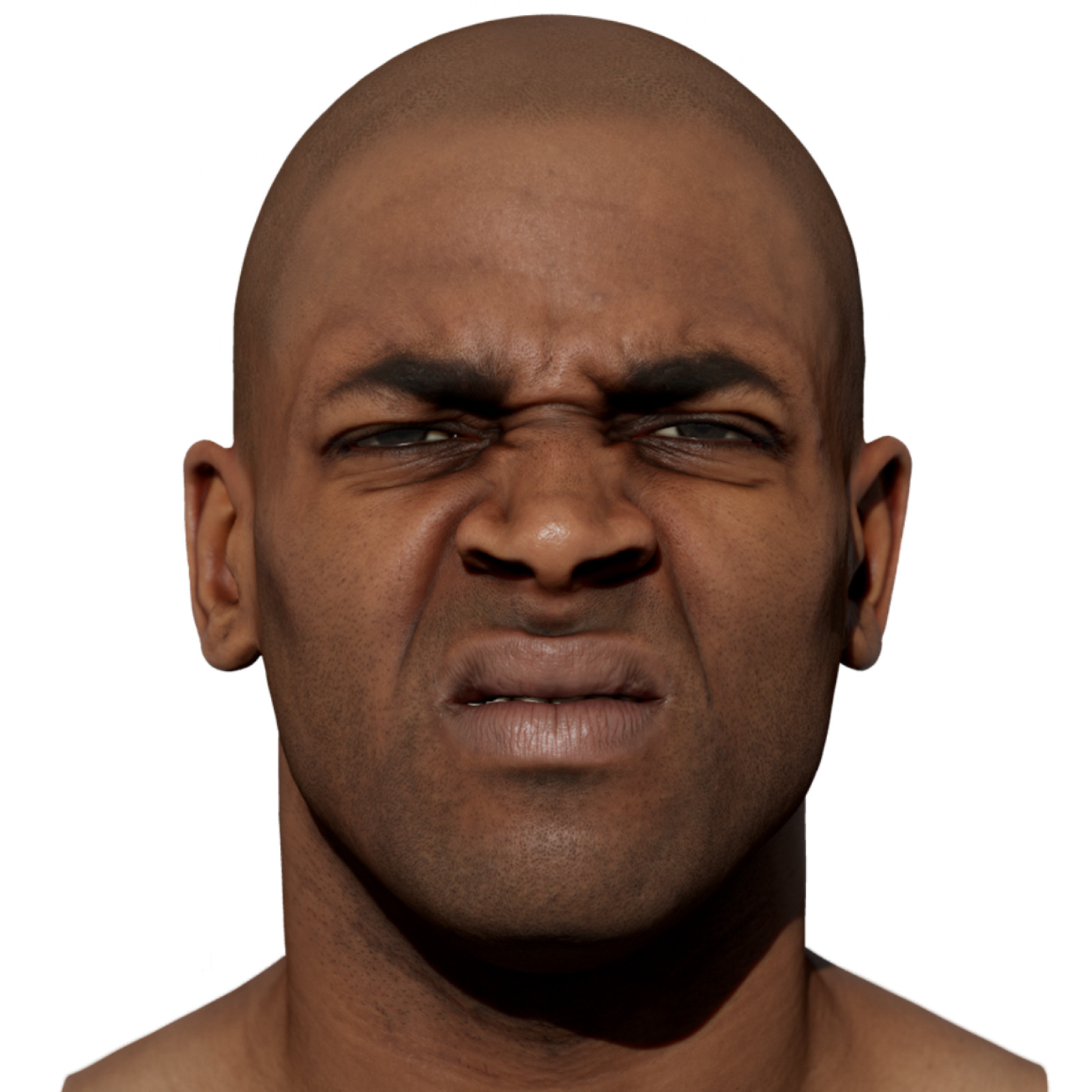 FACS Scan / Snarl / Retopologised Male 01