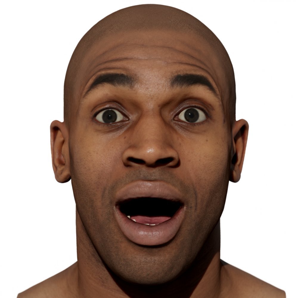 FACS Scan / Surprise / Reopolosiged Male 01