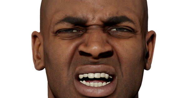 FACS Scan / pain / Retopologised Male 01