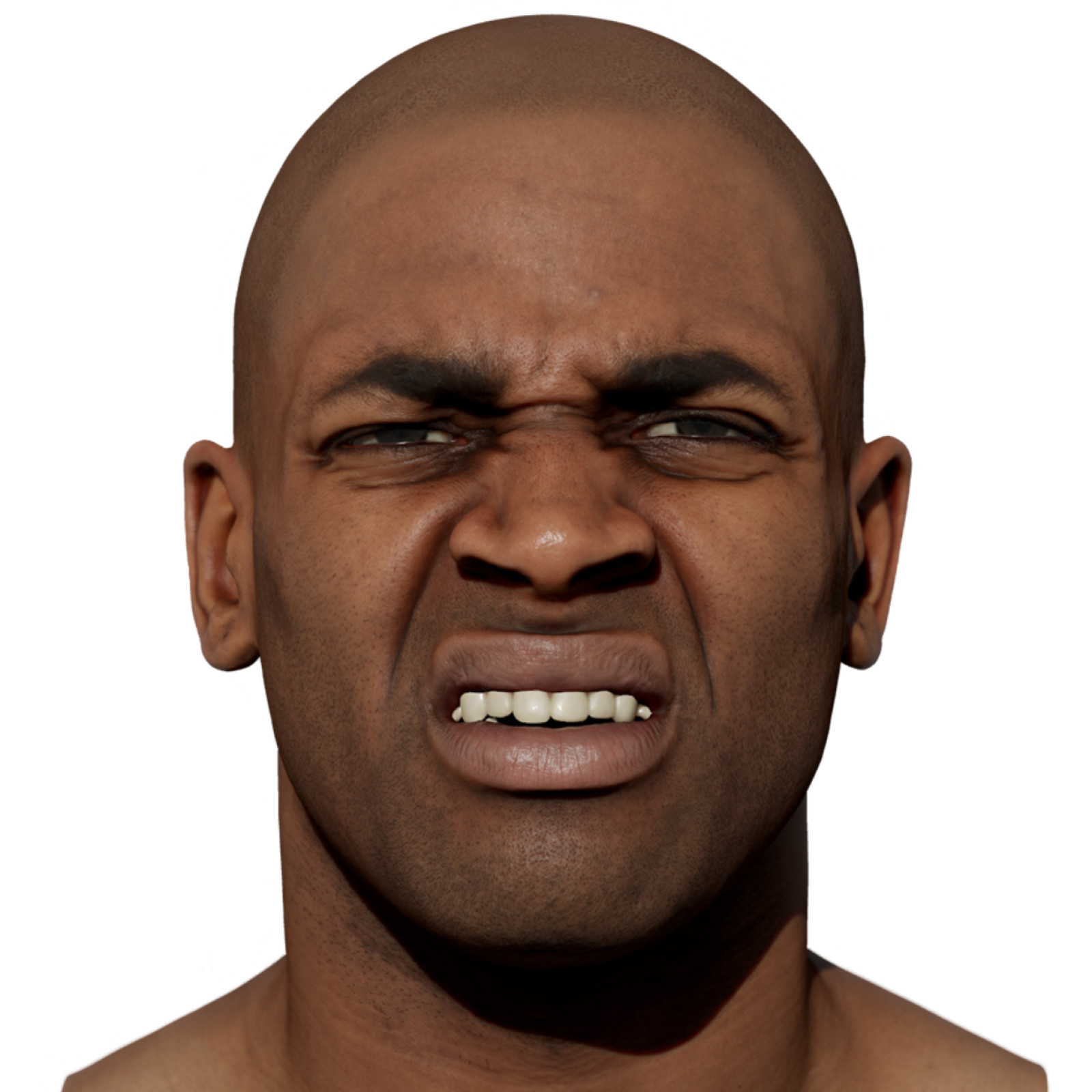 FACS Scan / Disgust / Retopologised Male 01