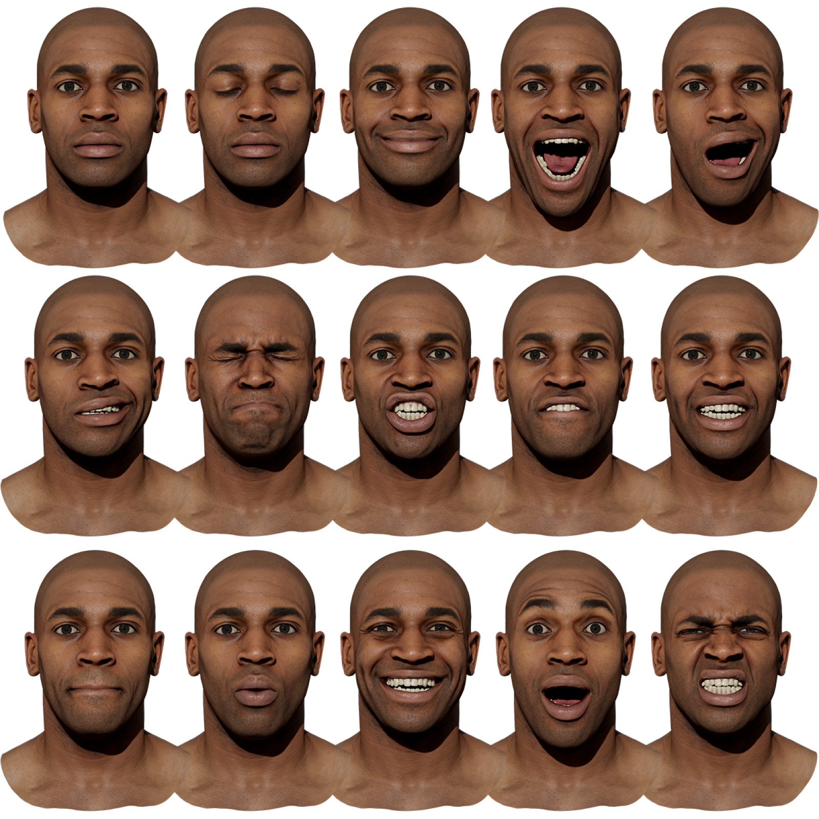 15 x FACS Scans / Retopologised Male 01