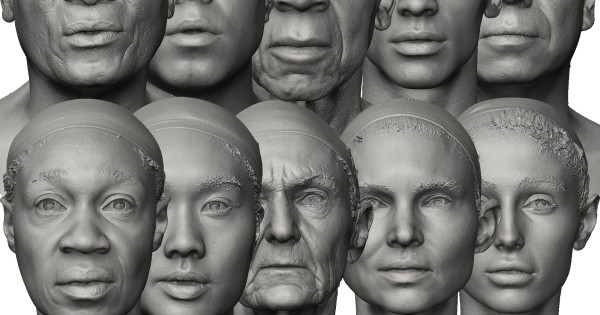 Male And Female 3D Head Models From 3D Scans