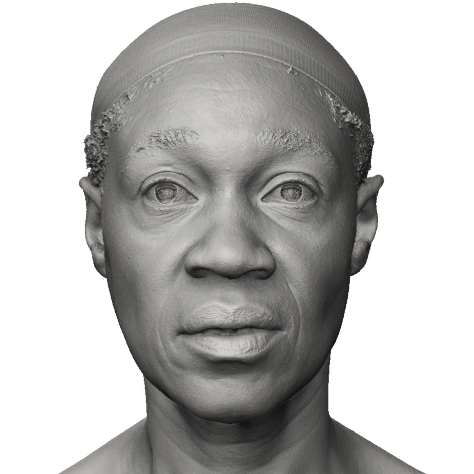 Female 3d Head Scan