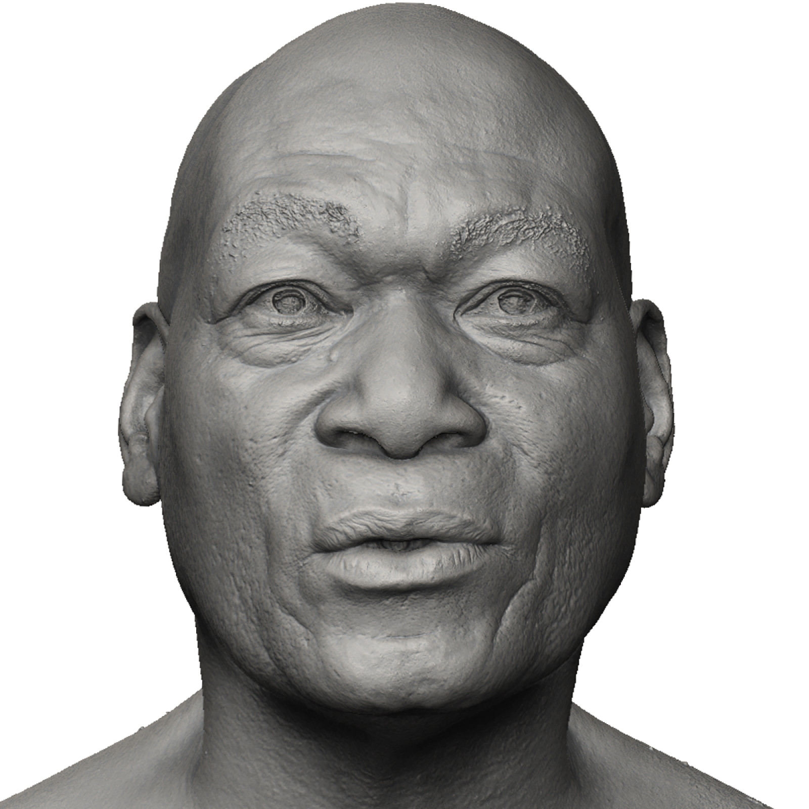 3d Head Models | from 3d scans by 3dscanstore.com