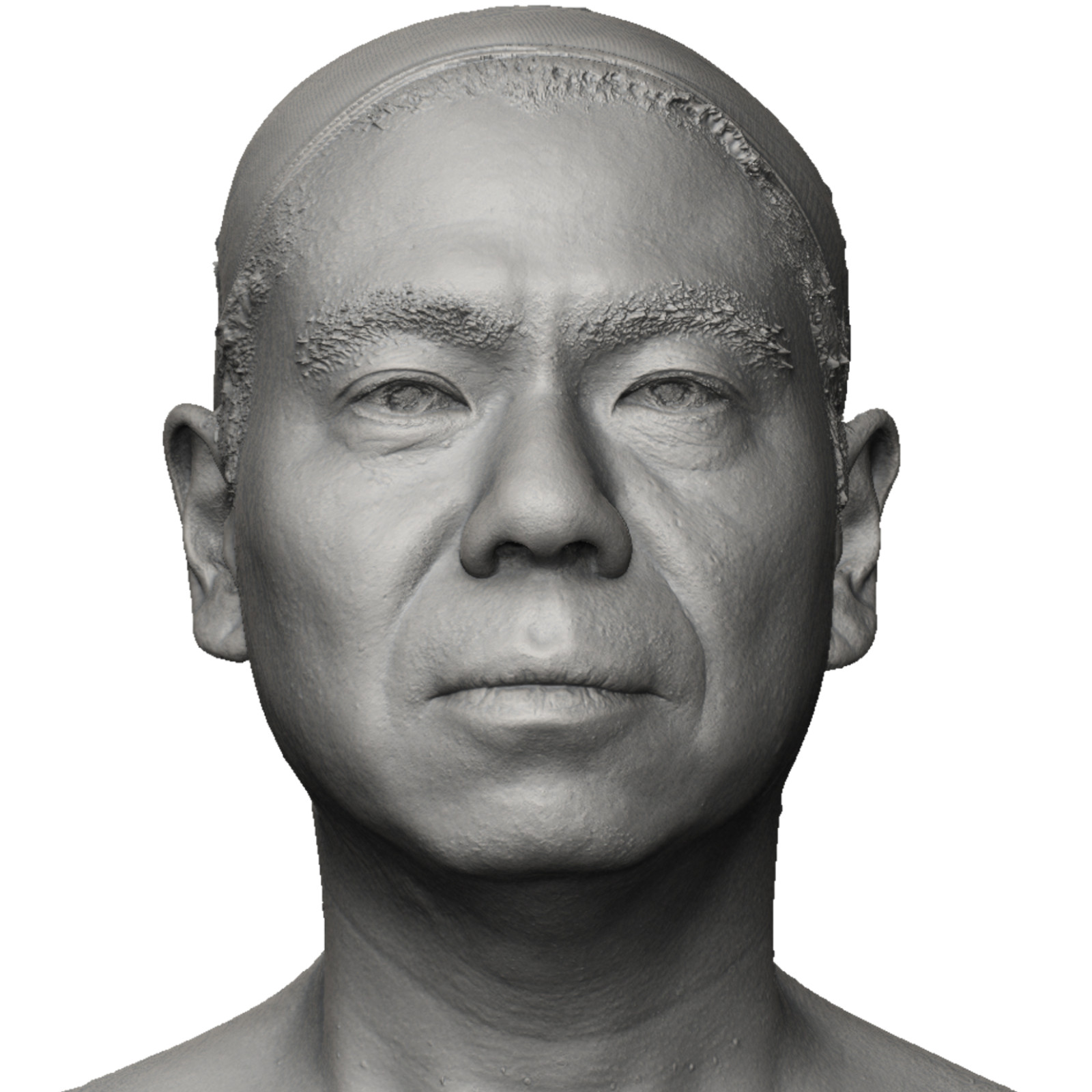 Male 3d Head Scan