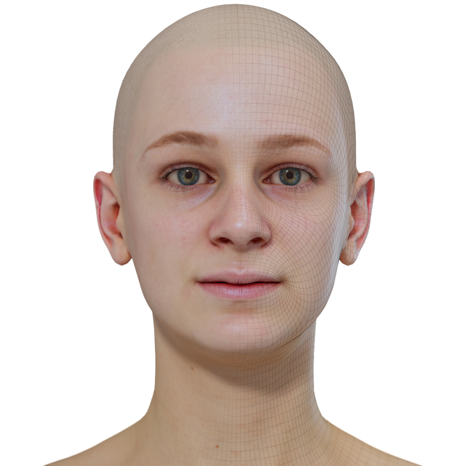 Female 3D model / Retopologised Head Scan 03