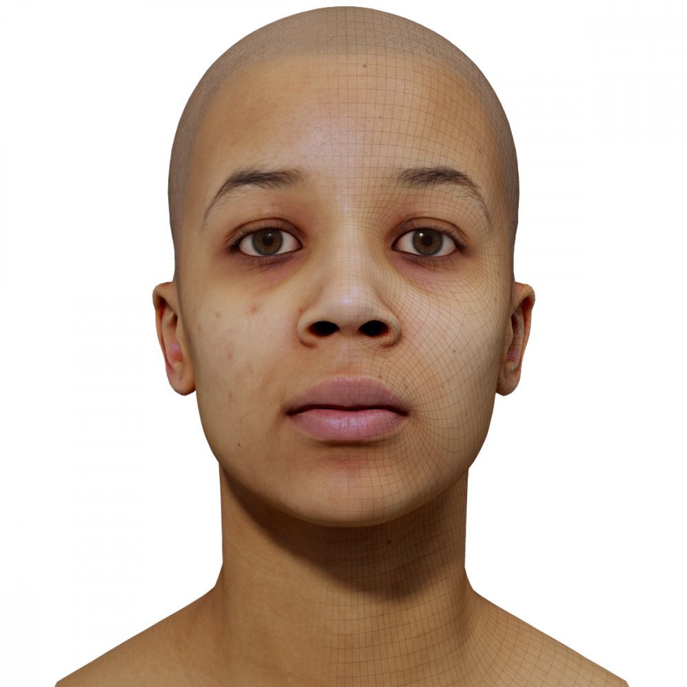 Female 3D model / Retopologised Head Scan 04